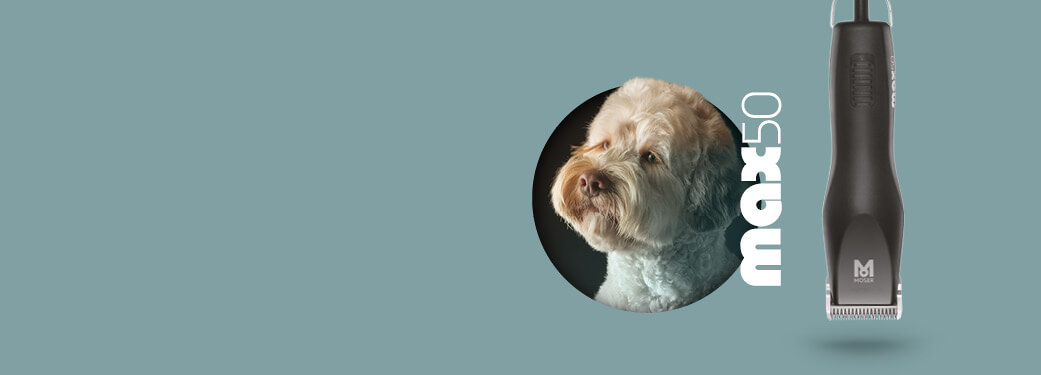 Tierhaarschneidemaschinen